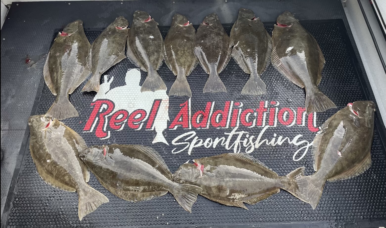 Reel Addiction Sportfishing, LLC.