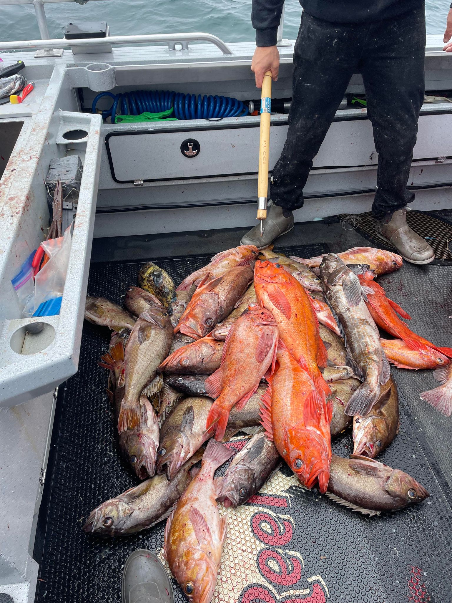 Reel Addiction Sportfishing, LLC.